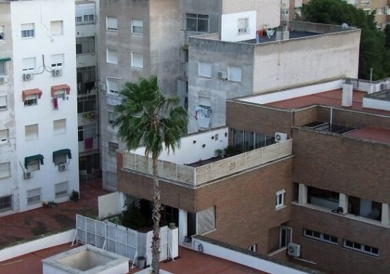 ¿Cómo calcular una losa que recibe palmera en azotea? – Geovic Constructora